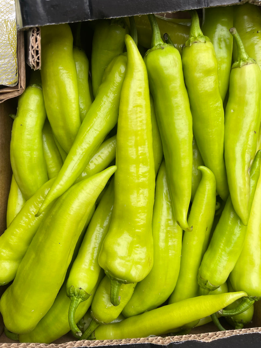 Big long Green chilli 500gm Mirchi bhaji – My Spice Market