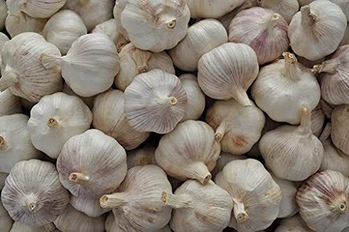 FRESH GARLIC LOOSE 300 GM – My Spice Market